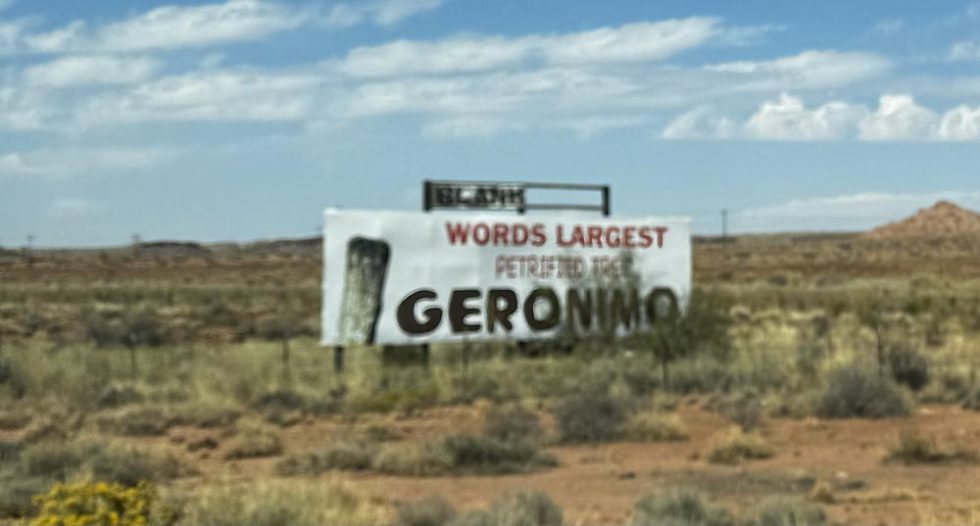 World's Largest Petrified Tree, Geronimo, Arizona